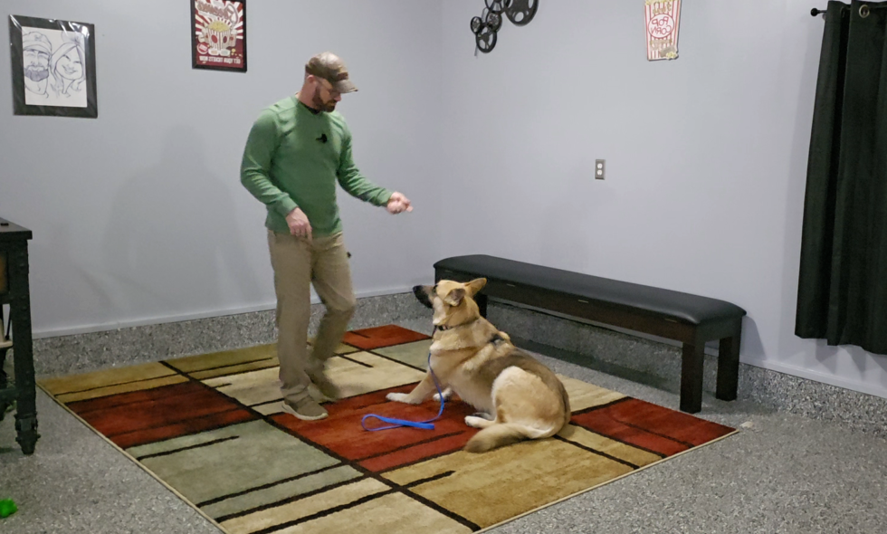 Bootcamp Training Program | Steven's Bootcamp Dog Training Indianapolis